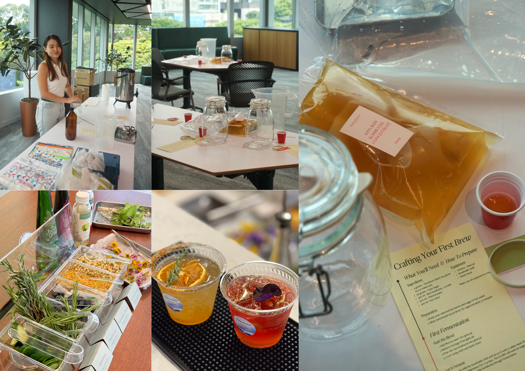 Unique Workshop Ideas: Explore the Art of Kombucha – ForrestBrew